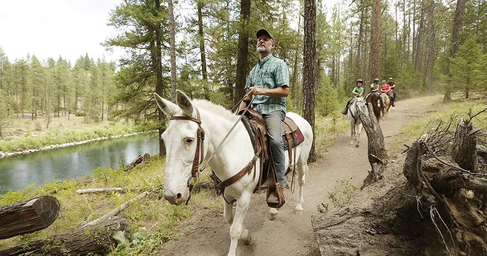 Horseback trail rides offered through Riverside State Park to riders of ...