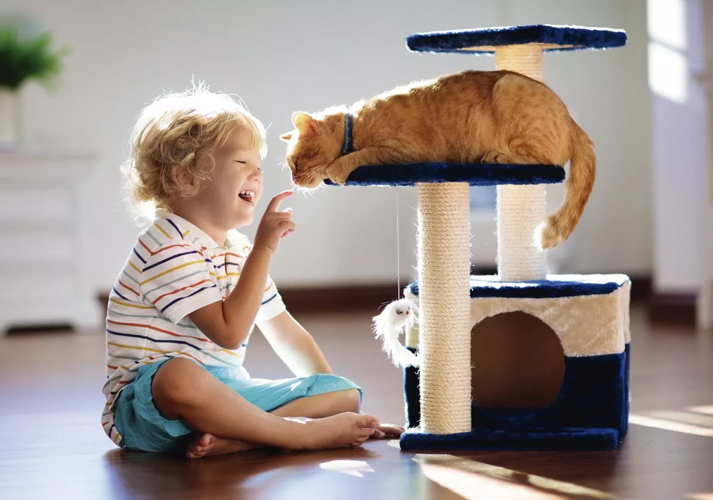 The "pet effect" has intrigued researchers for its therapeutic value ...