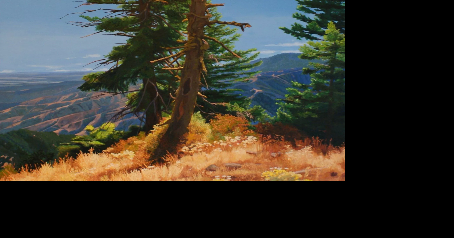 Local and regional artists reflect on a landscape theme in summer ...