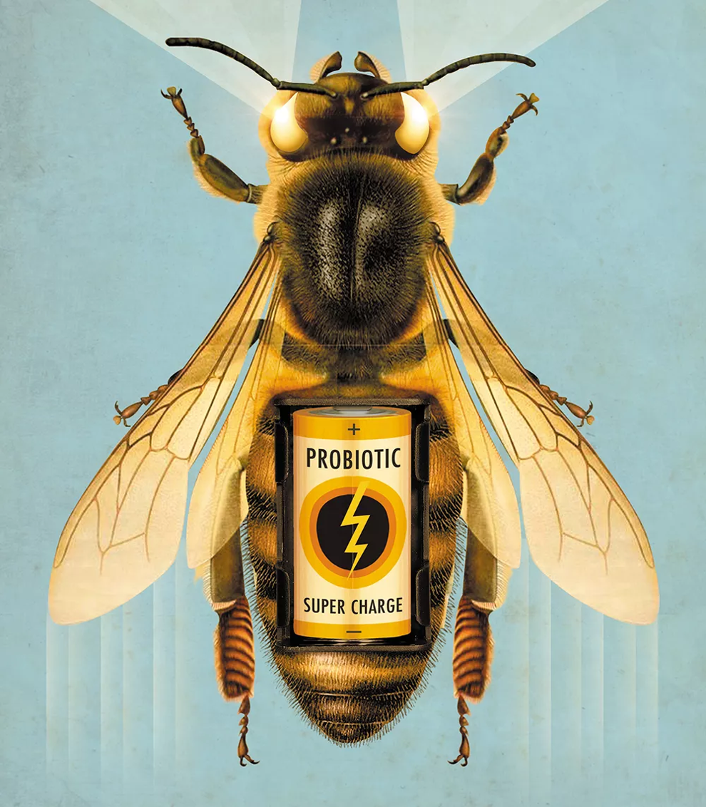 Building a Better Bee | Annual Report | inlander.com