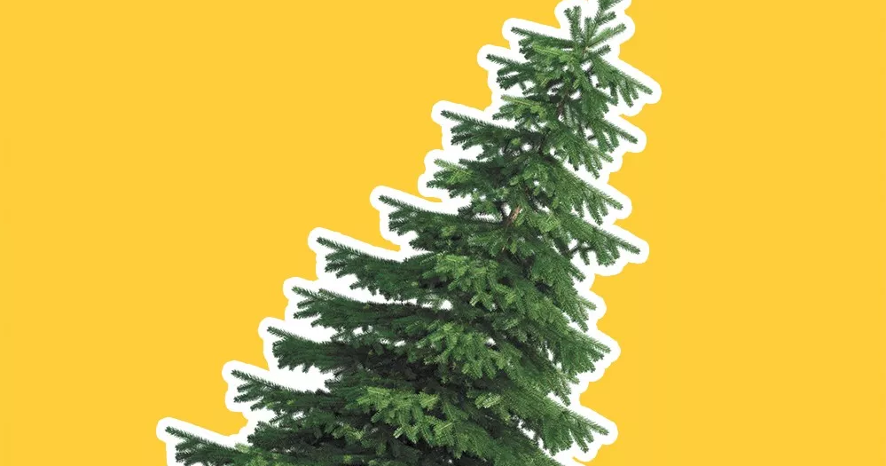 Spokane tree pickup, a victory for bacteria and other headlines | News ...