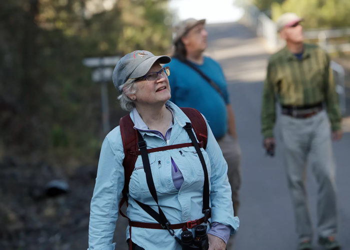 To get started as a bird-watcher, 'the only tool you need is paying ...