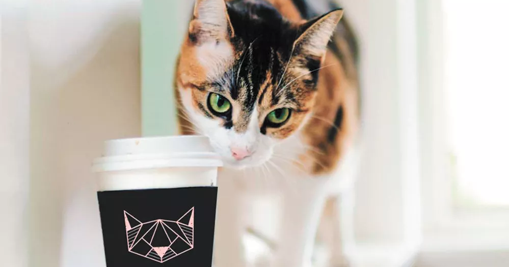 Spokane is getting a cat cafe; plus, chef Ricky Webster lands top spot ...