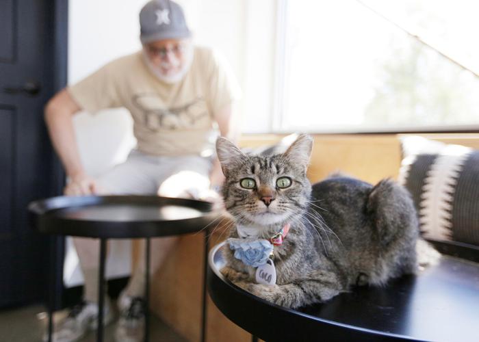 Summer Guide 2026: Animals | Summer Guide | inlander.com