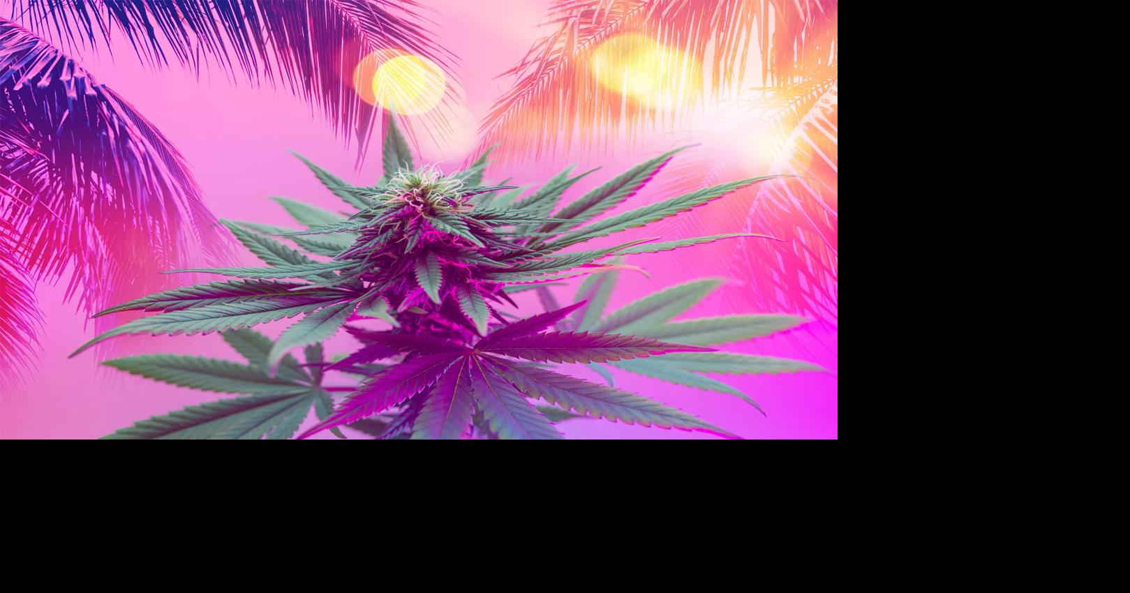 Move on from winter with some warm weather weed | Green Zone | inlander.com