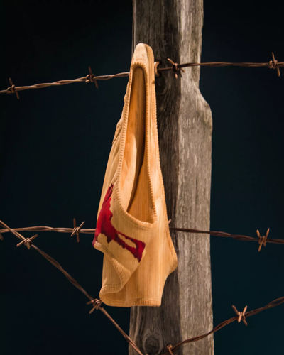 Artist Humaira Abid's exhibition at the MAC explores personal stories ...