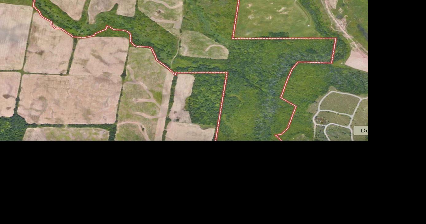 Oakville subdivision plan requires removal of 500 trees
