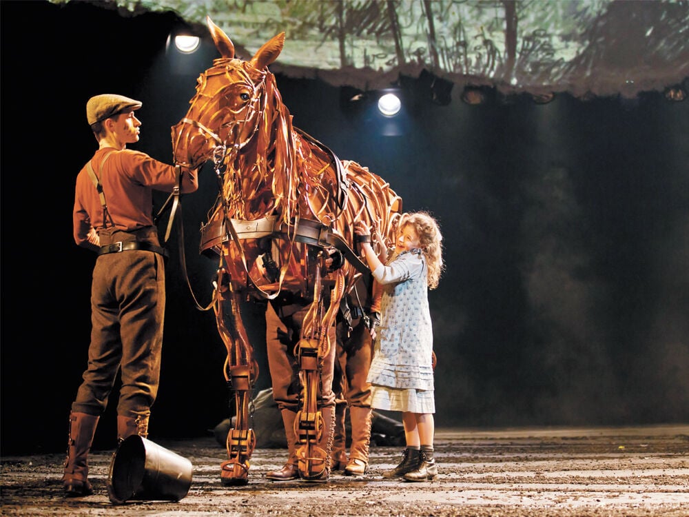 Young actor riding high in War Horse