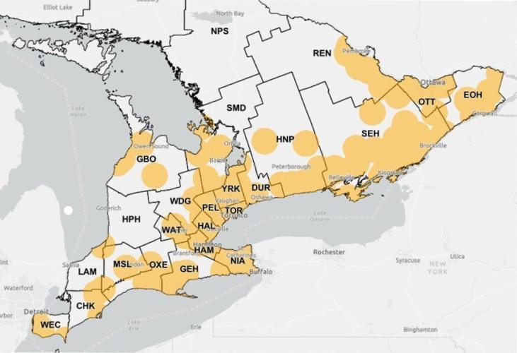 Fall leaves hiding ticks in Ontario - how to stay safe