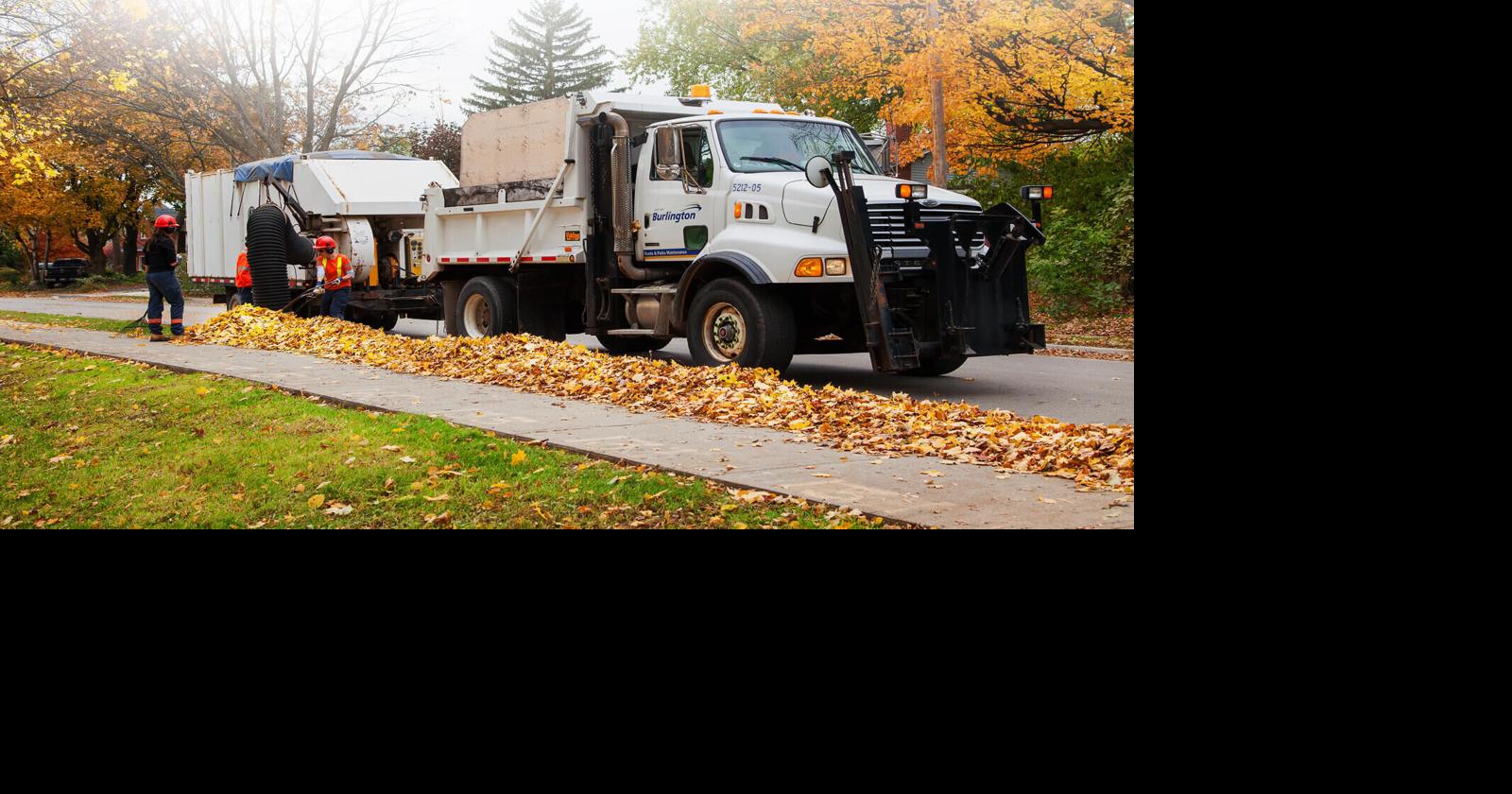 Burlington loose leaf collection costs $820,000