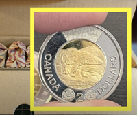 Sima Acan is the Liberal candidate for Oakville West riding