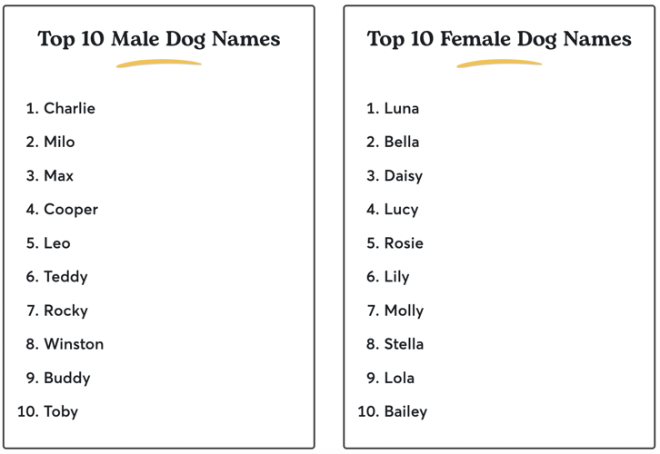 Rover reveals top Canadian dog and cat names in 2024