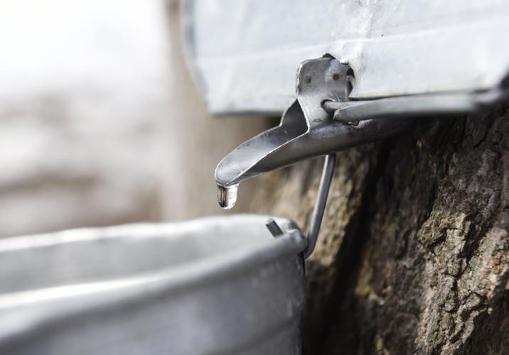 I make my own maple syrup at home. Here’s how you can, too