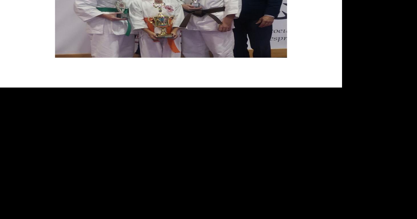 Chito Ryu Karate Club's Park family collects medals at international event