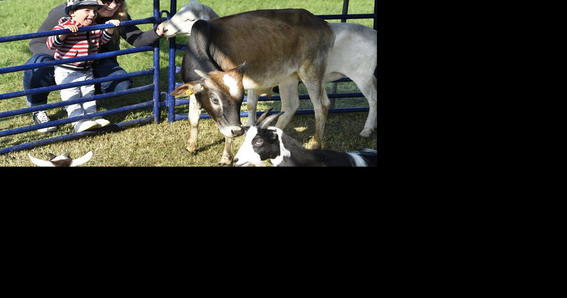 Check out Ontario’s fall fairs for 2024 — more than 200