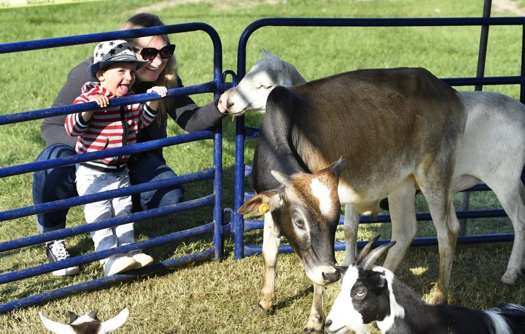 Check out Ontario’s fall fairs for 2024 — more than 200