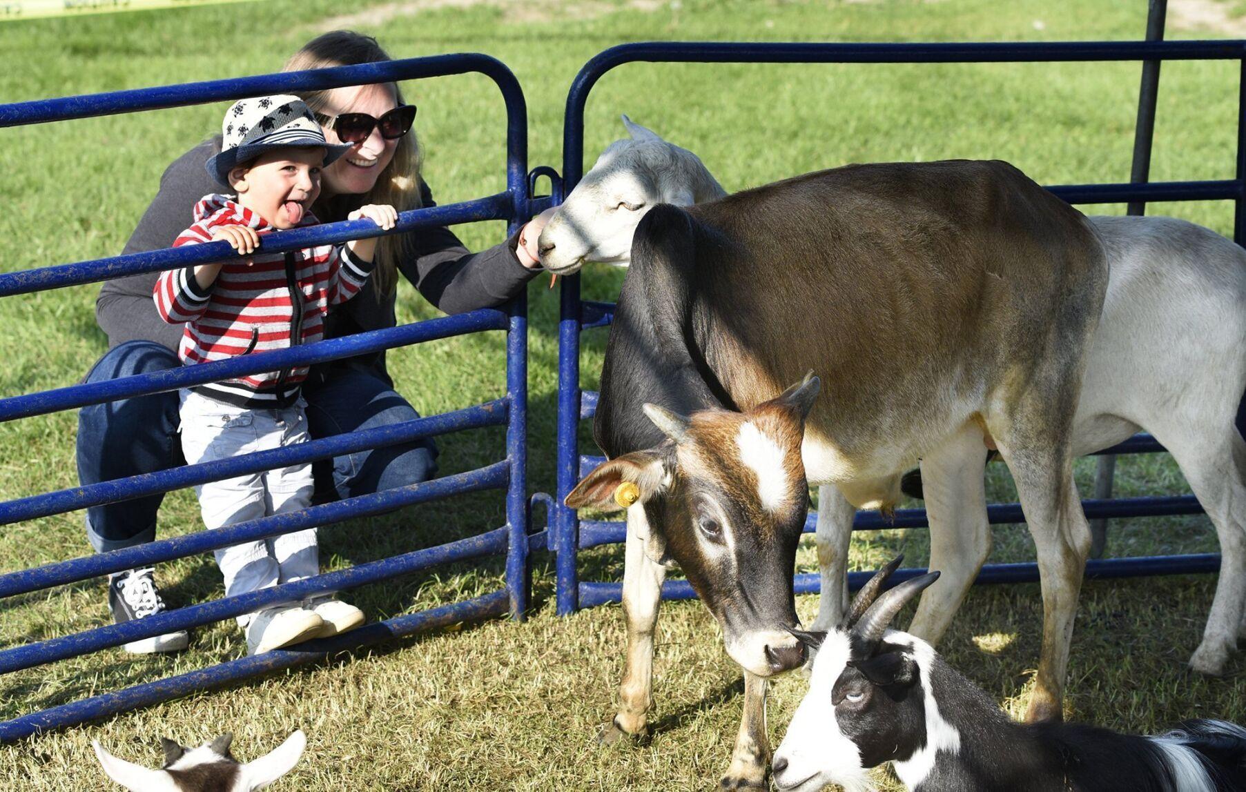 Check out Ontario’s fall fairs for 2024 — more than 200