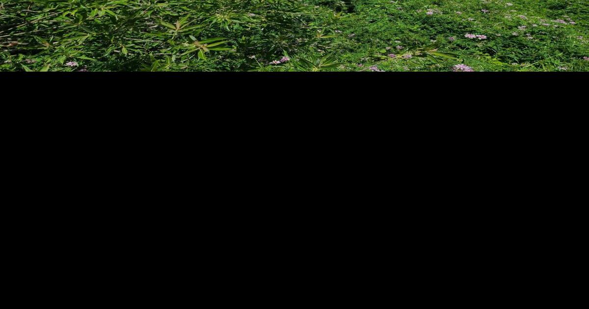 What’s going on here? New signs around Milton stormwater ponds