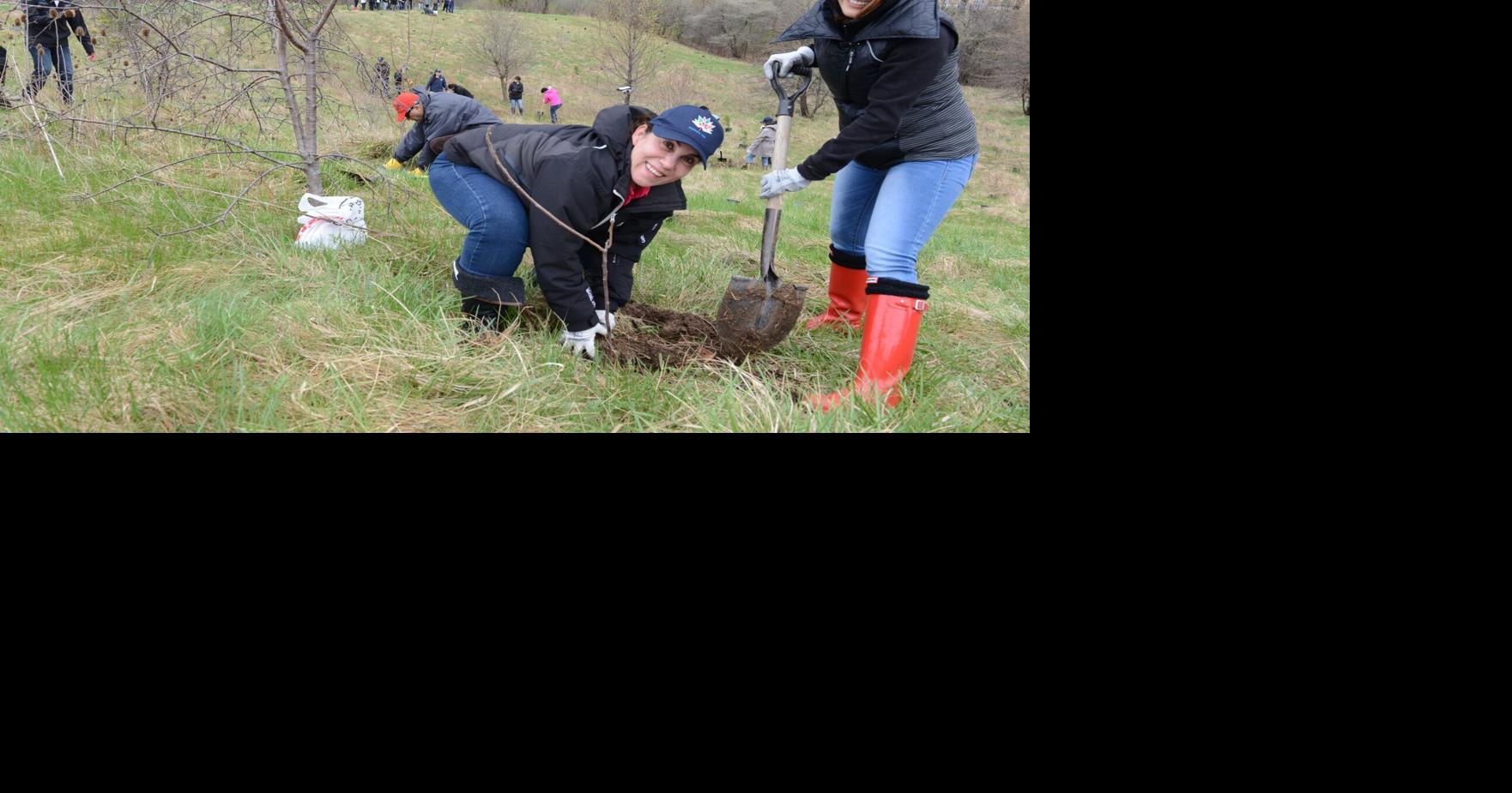 UPDATED: Tree planting in Oakville