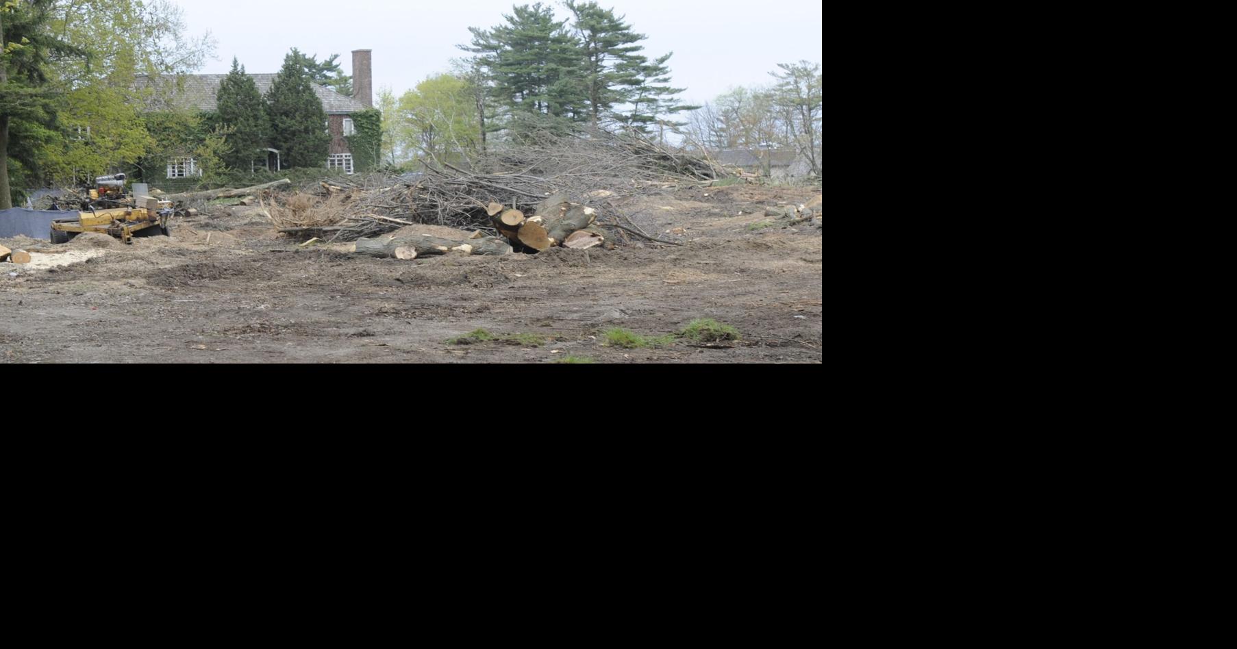 Oakville trades trees for lakefront