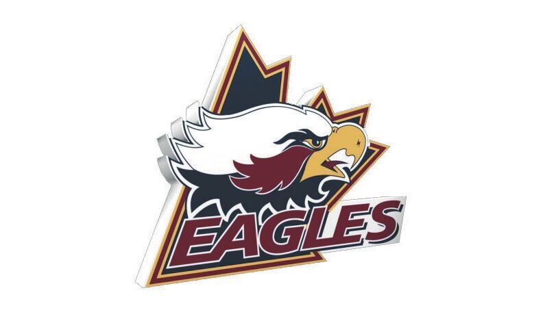 Burlington peewee AAA Eagles one of 32 teams in Quebec International ...