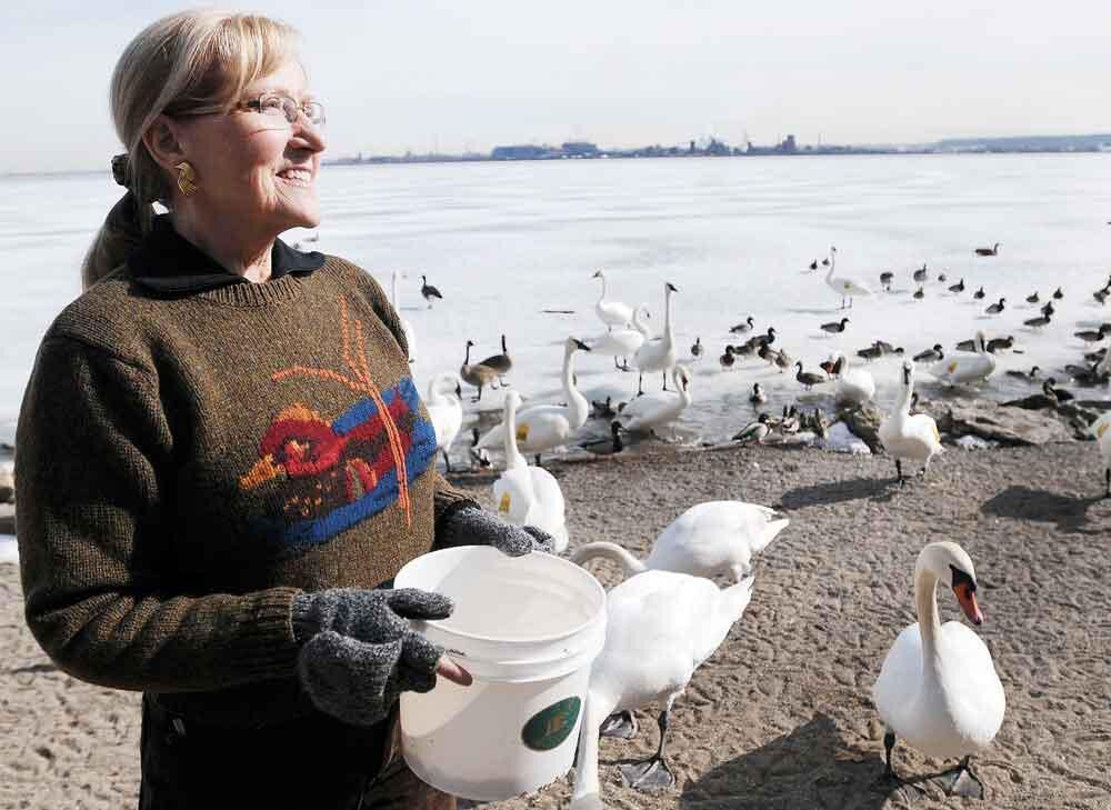 Burlington’s lady of swan lake