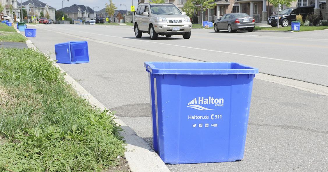 Blue Box scavengers could face a fine from Halton Region