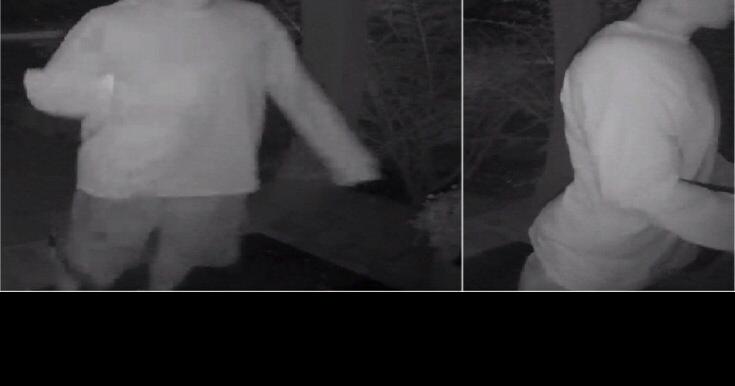 2 men arrested following Oakville crime spree