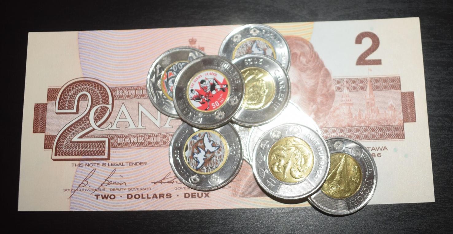Canada’s toonie turns 30. Is your’s valuable?