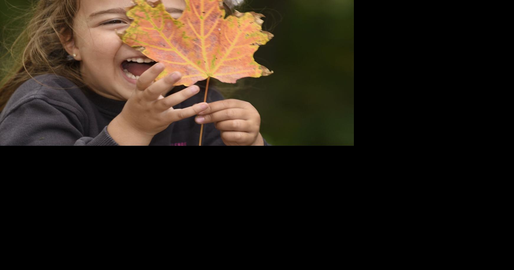 Applefest Fall Fair in Burlington draws hundreds