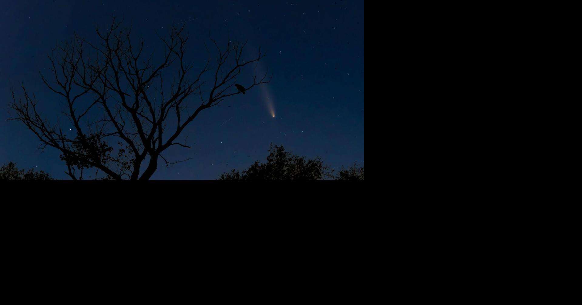 The comet of the century delighted skywatchers in Ontario