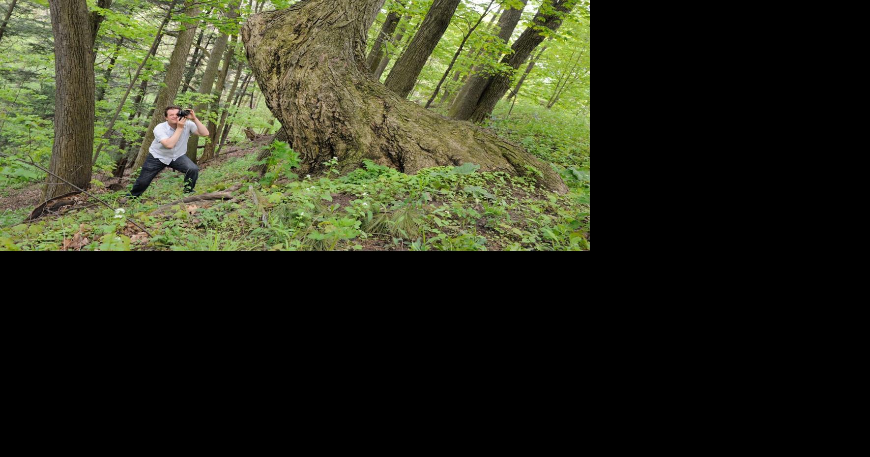 Following the Oakville trails of First Nations