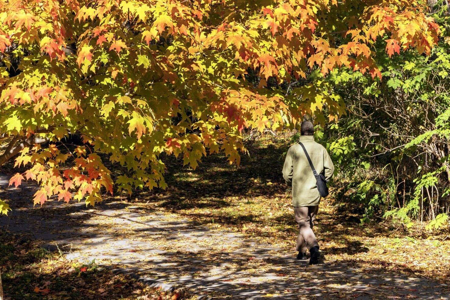 Mild Ontario weather forecast: Rain, wind, flurries possible
