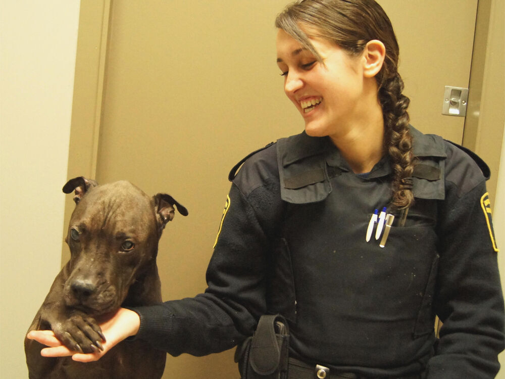 Landmark sentence in cruelty case