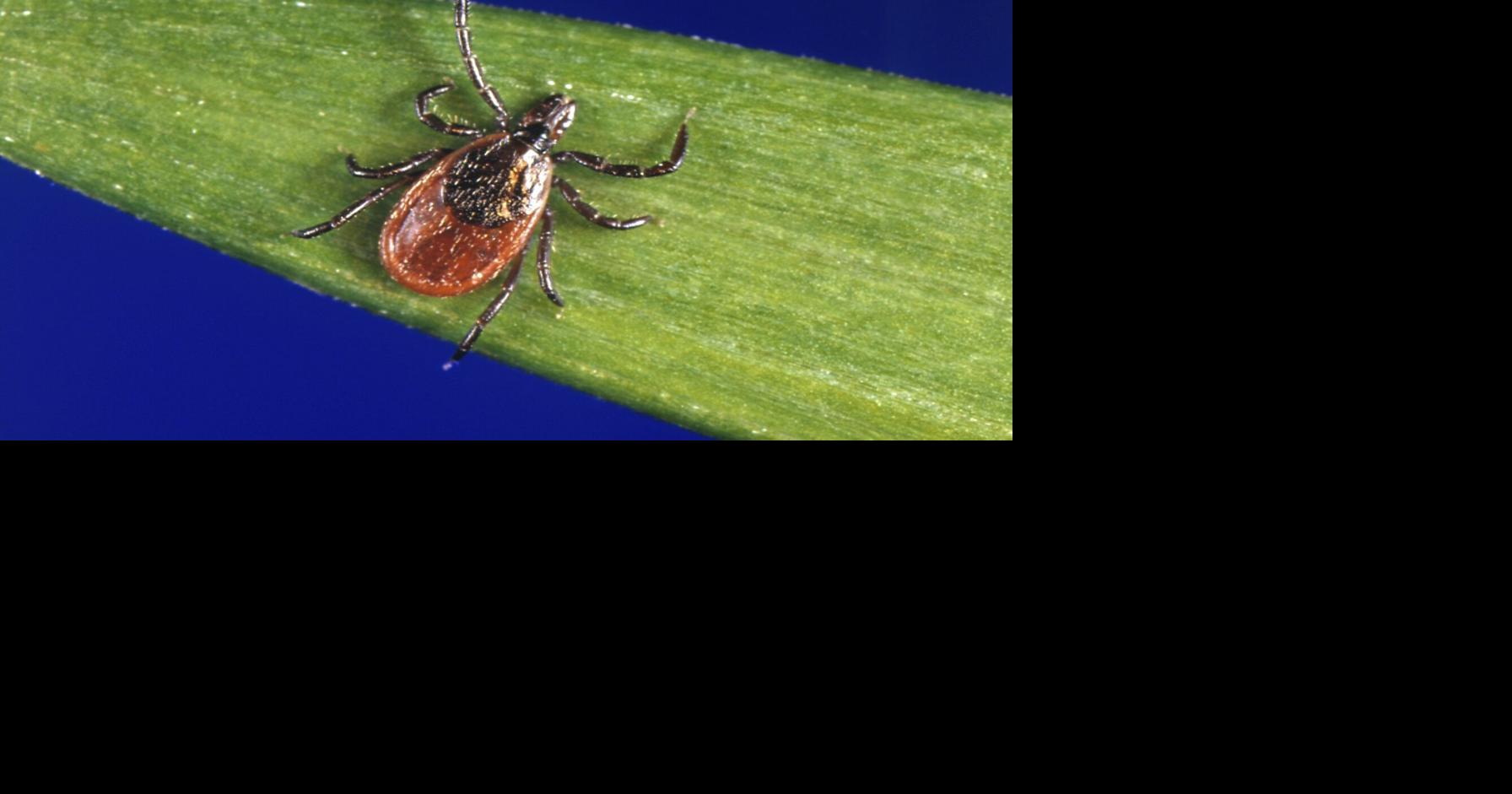Tick boxes not being dropped into Ontario farmers’ fields
