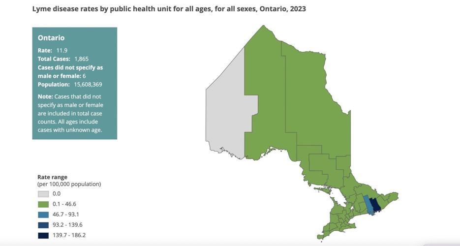 Ontario tick season 2025: What to do to protect yourself