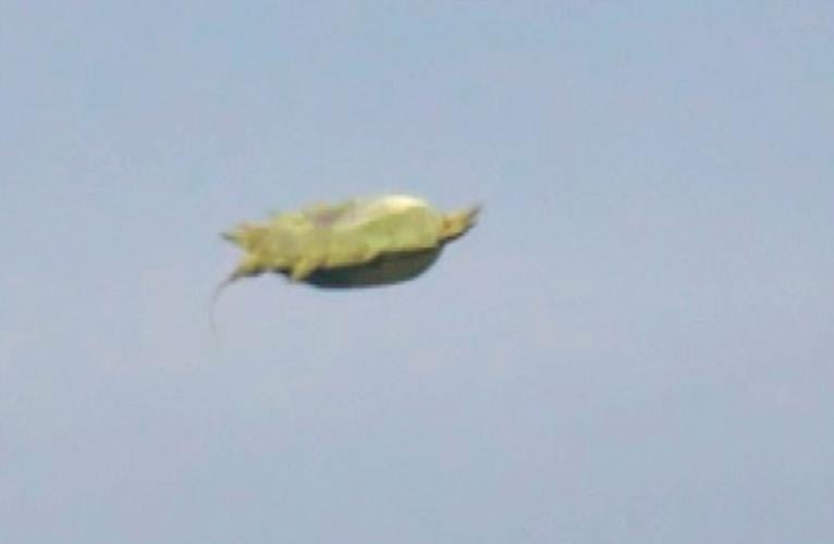 UFO reports increase in Ontario, Canada. Here’s what we know