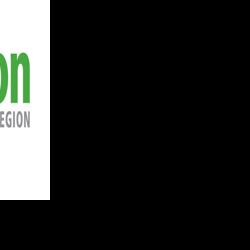 Halton’s waste guide and collection calendar now available