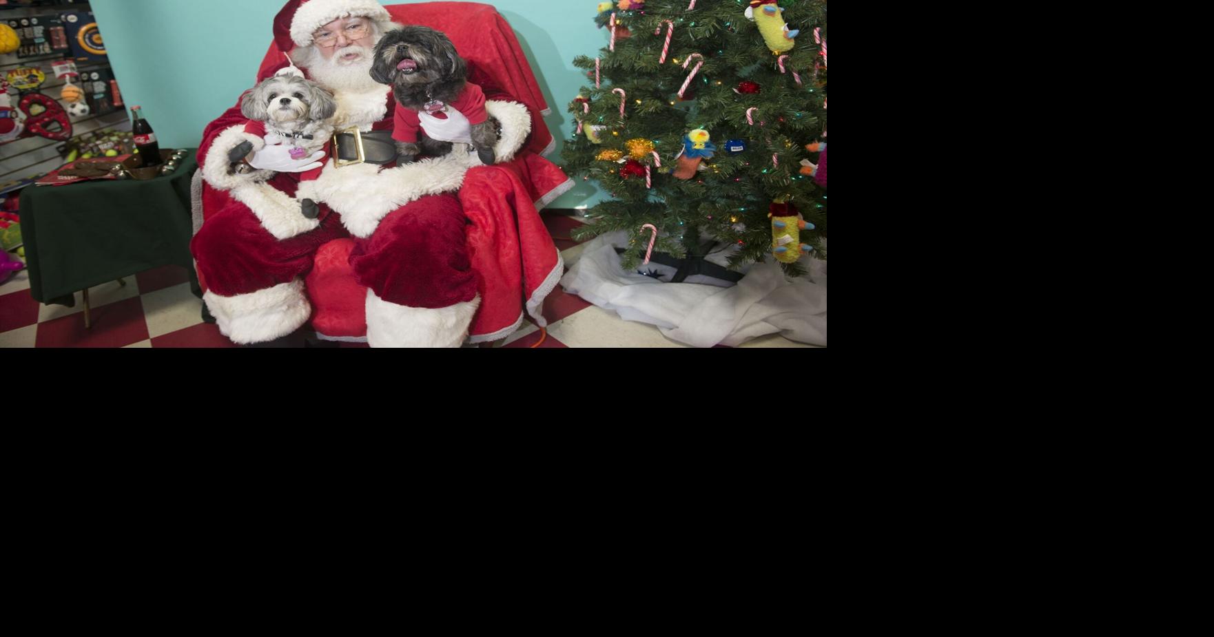 Santa makes some cuddly new friends