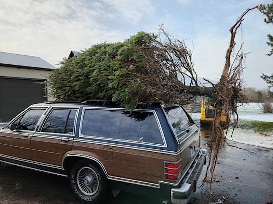 Ontario couple’s Clark Griswold station wagon spreads joy