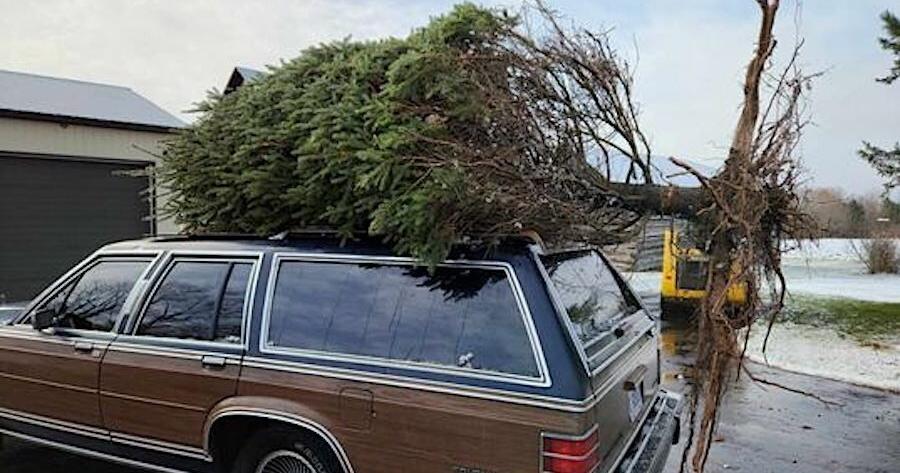Ontario couple’s Clark Griswold station wagon spreads joy
