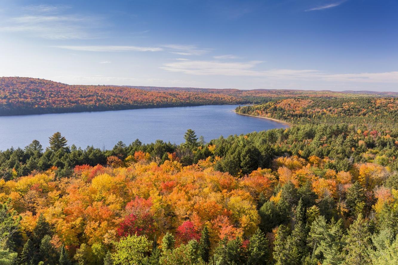 Here’s when Ontario’s fall colours are expected to peak