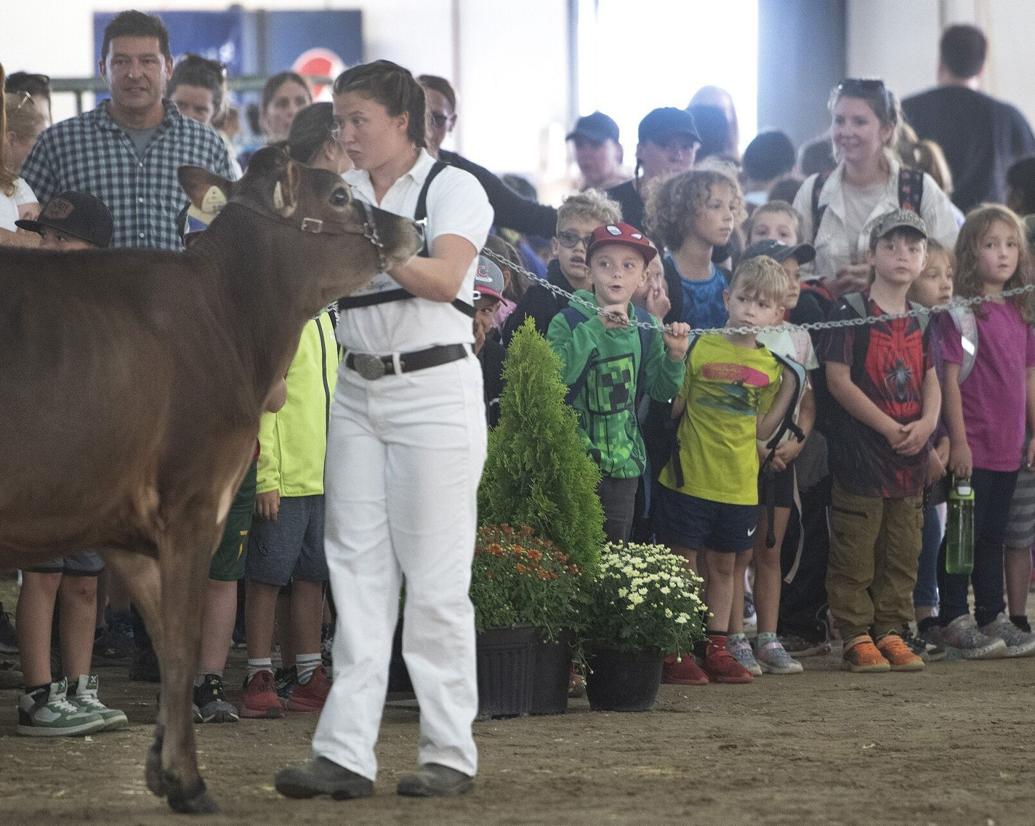Check out Ontario’s fall fairs for 2024 — more than 200