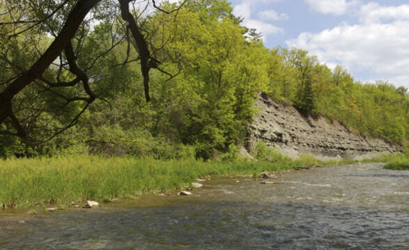 Oakville's 16 Mile Creek could get Greenbelt designation
