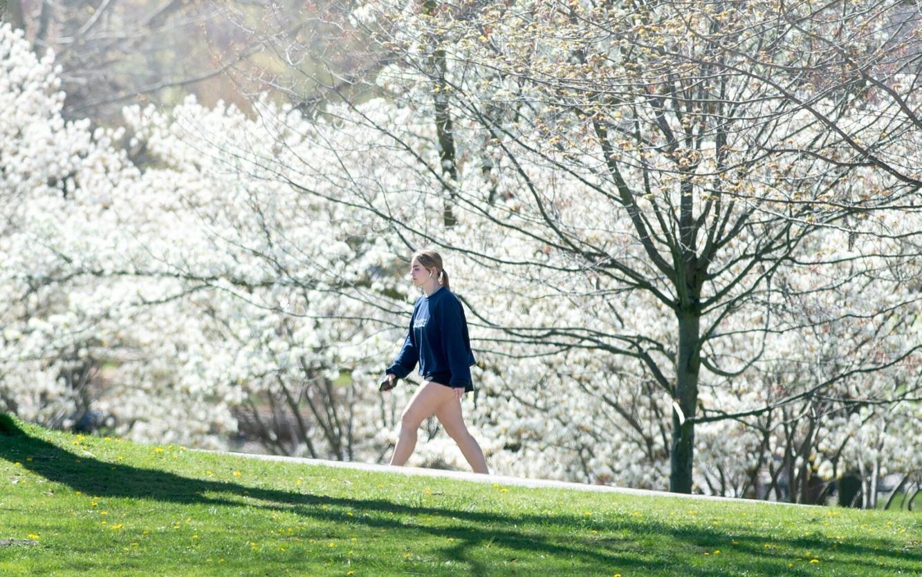 Spring Weather Prediction 2025: Here’s what Ontario’s in for