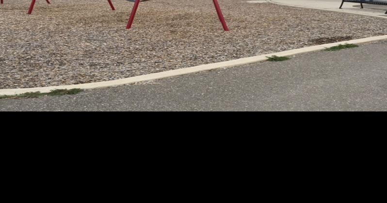 Milton playground destroyed by school-book burning brothers