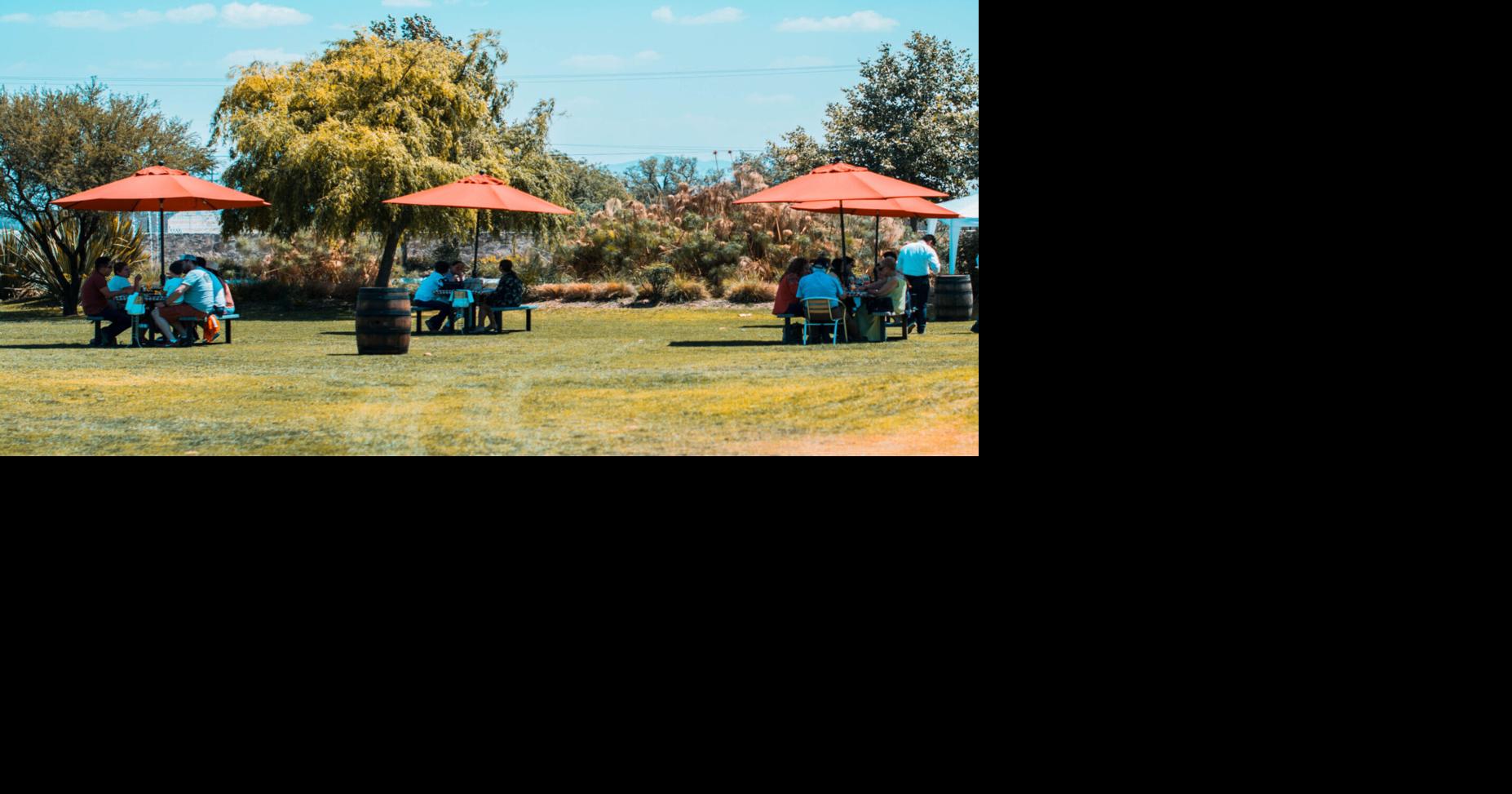 5 things to know about the first Emancipation Day picnic in Milton