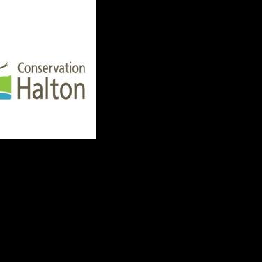 Strong winds closing Halton Conservation parks on Wednesday