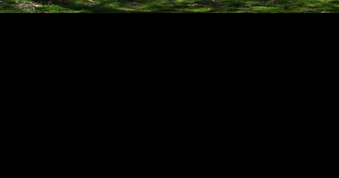 5 things Burlington is doing to mark the 30th anniversary of the ...