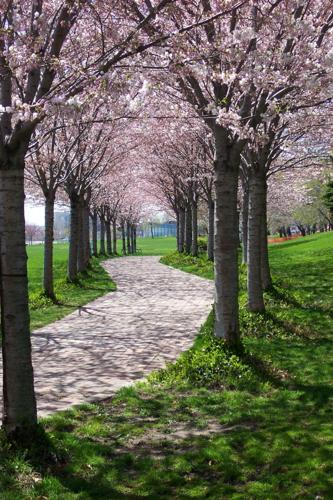 5 things Burlington is doing to mark the 30th anniversary of the ...